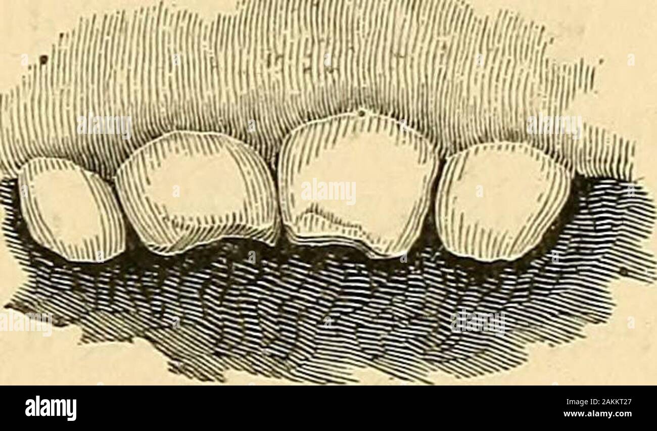 Recent advances in ophthalmic science : The Boylston prize essay for ...