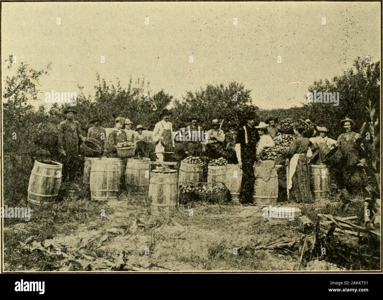 Mulchand hi-res stock photography and images - Alamy