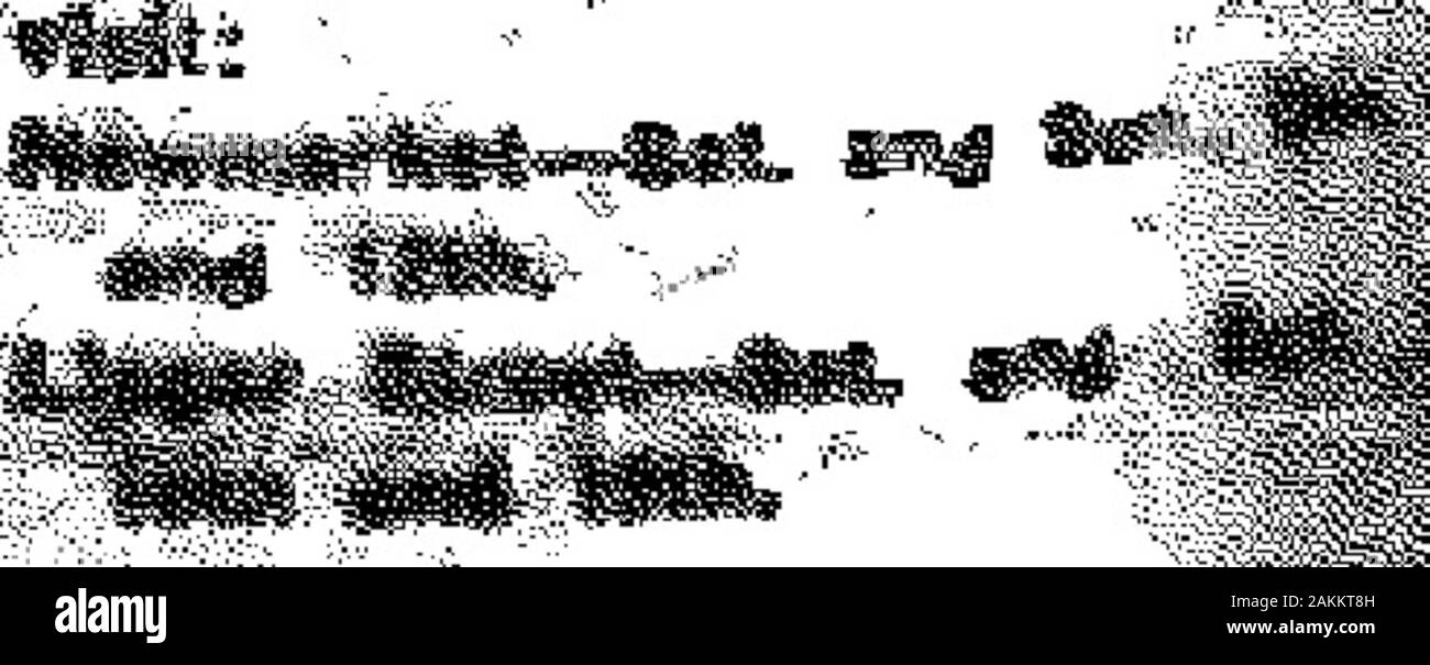 The War Cry Stock Photo - Alamy