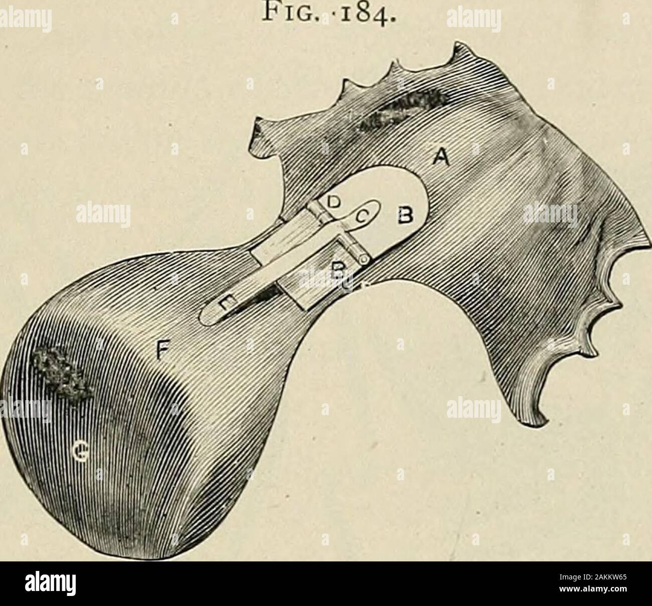 Rubber Mechanical Mouth