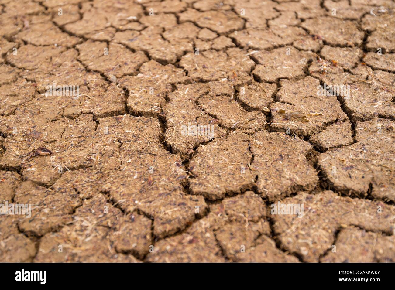 Crack soil texture hi-res stock photography and images - Alamy