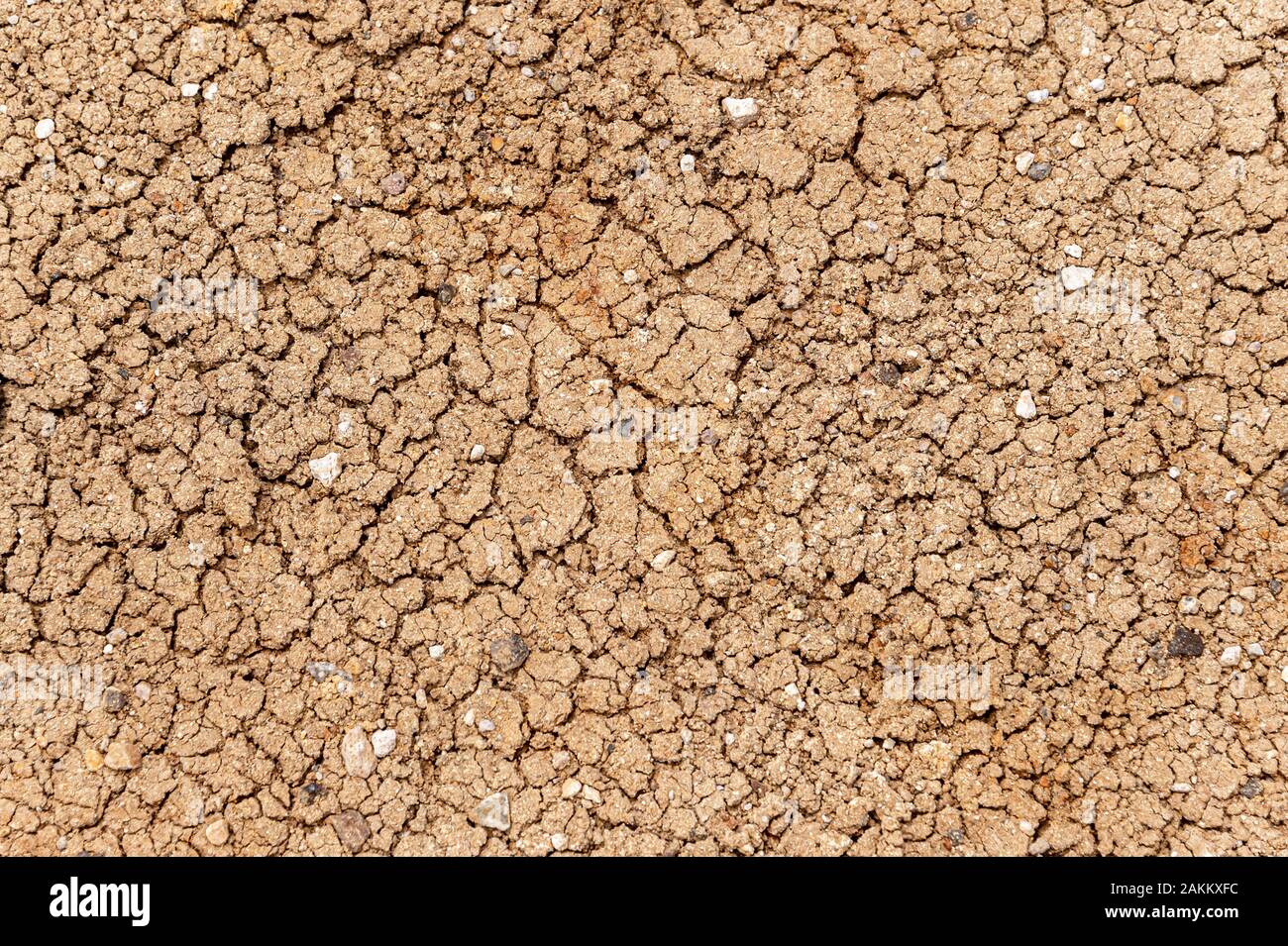Texture of dry and dehydrated soil cracks Stock Photo - Alamy