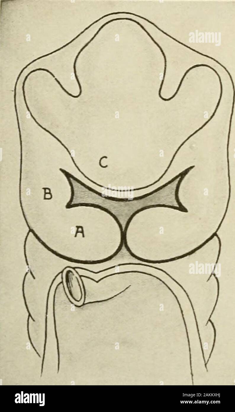 General and dental pathology with special reference to etiology and ...
