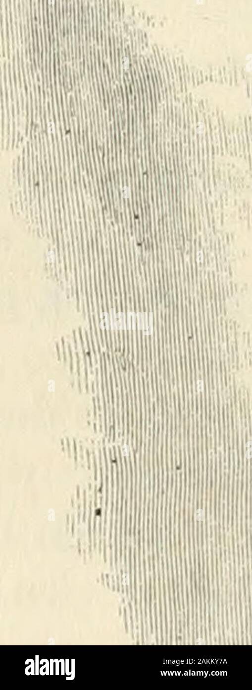 100 fathoms hi-res stock photography and images - Alamy