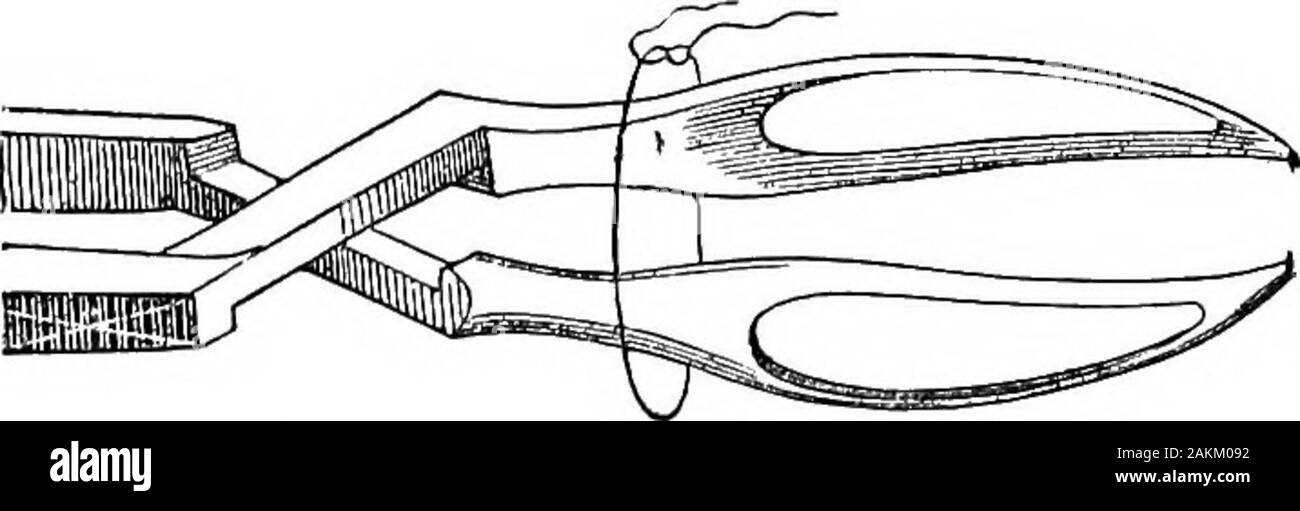 Bleeding sheep in Black and White Stock Photos & Images - Alamy