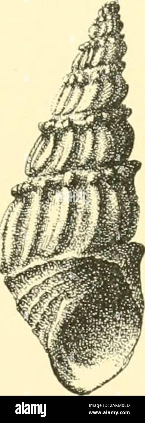 Edgar Smith High Resolution Stock Photography and Images - Alamy