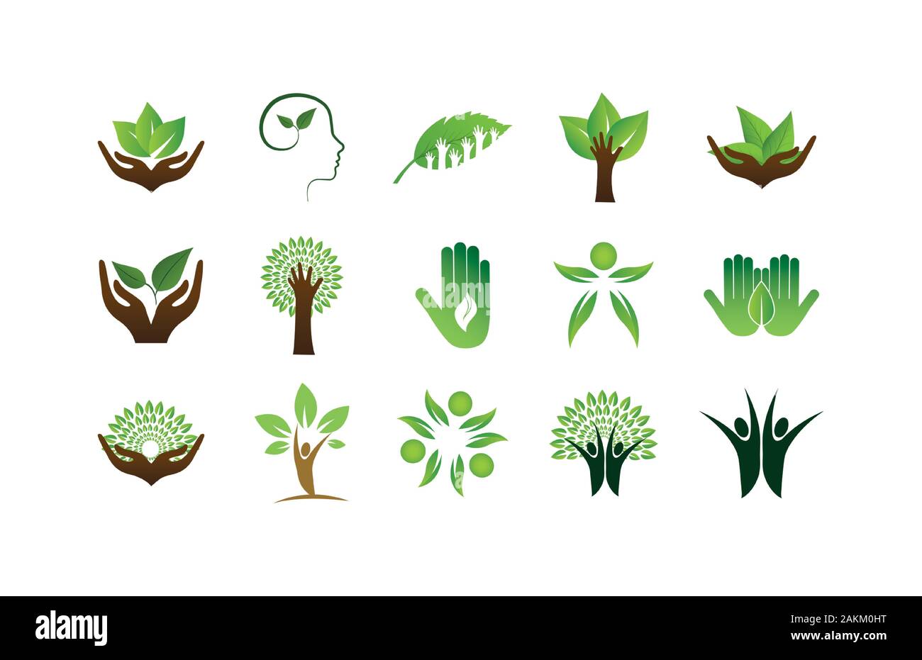 Isolated natural leaves support shapes icon set design of Floral nature ...