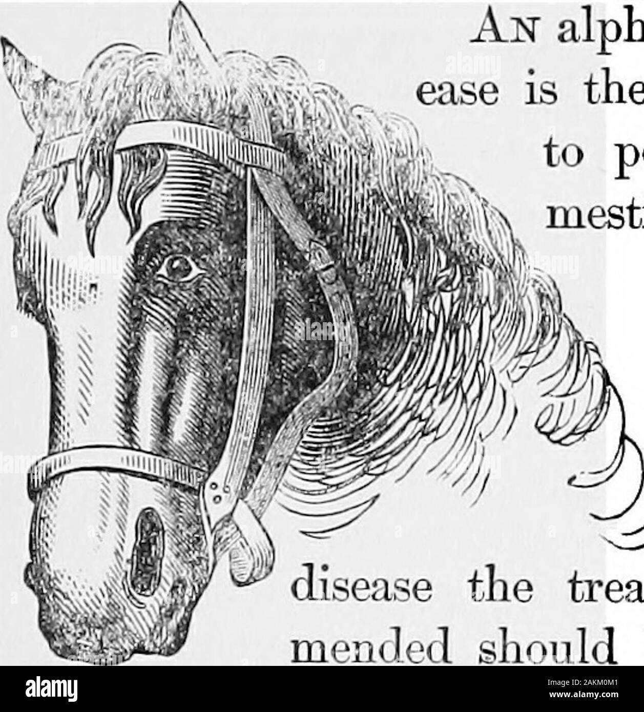 McClure's American horse, cattle and sheep doctor; being a full ...