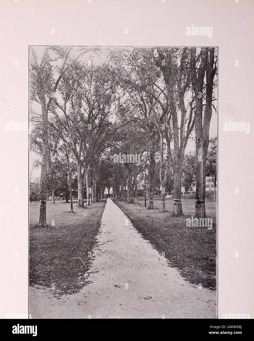 John edgar vaughan hi-res stock photography and images - Alamy