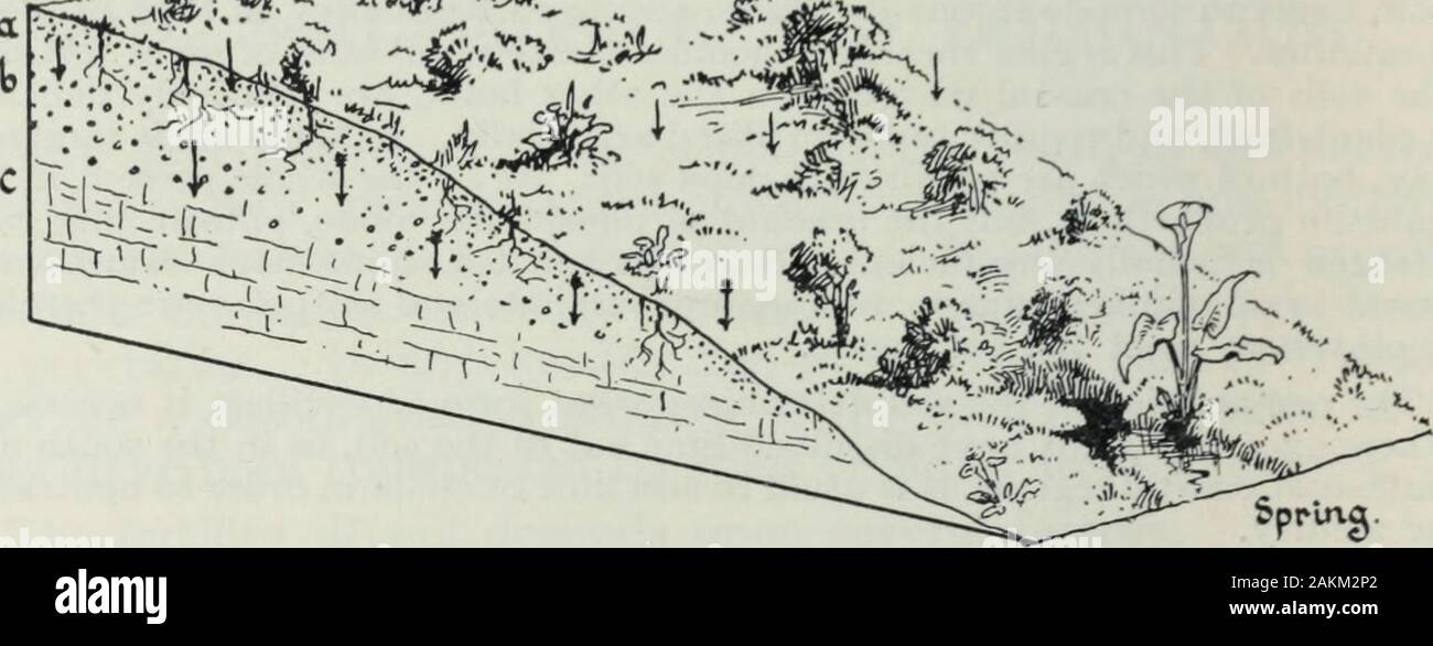 Dongas hi-res stock photography and images - Alamy