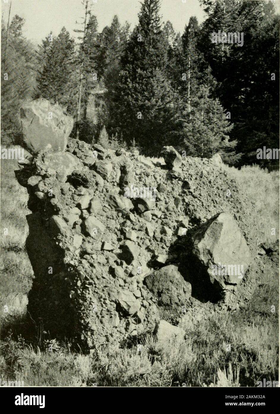 Expeditions organized or participated in by the Smithsonian Institution ...