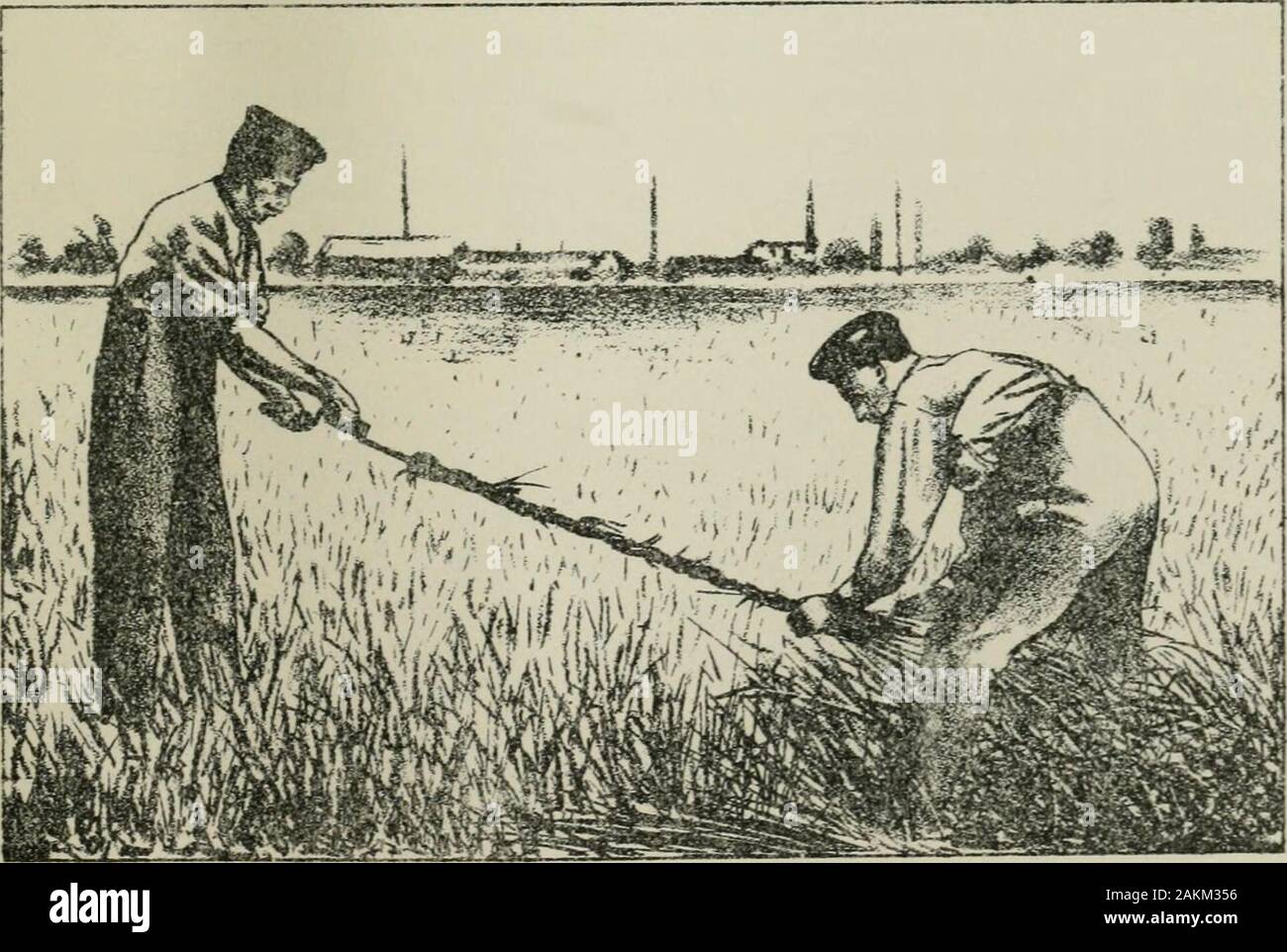 Cordite hi-res stock photography and images - Alamy