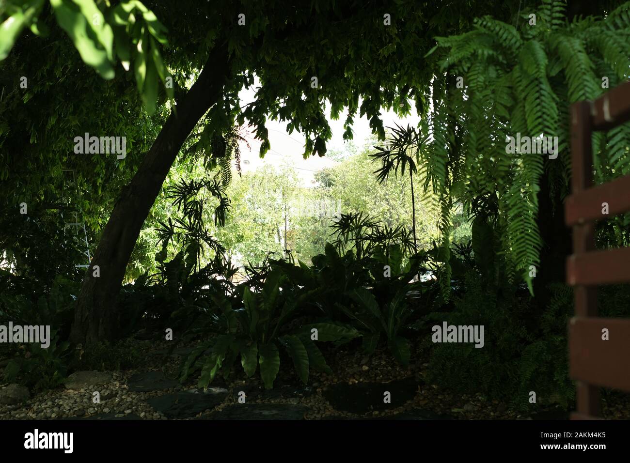 Siam garden hi-res stock photography and images - Alamy