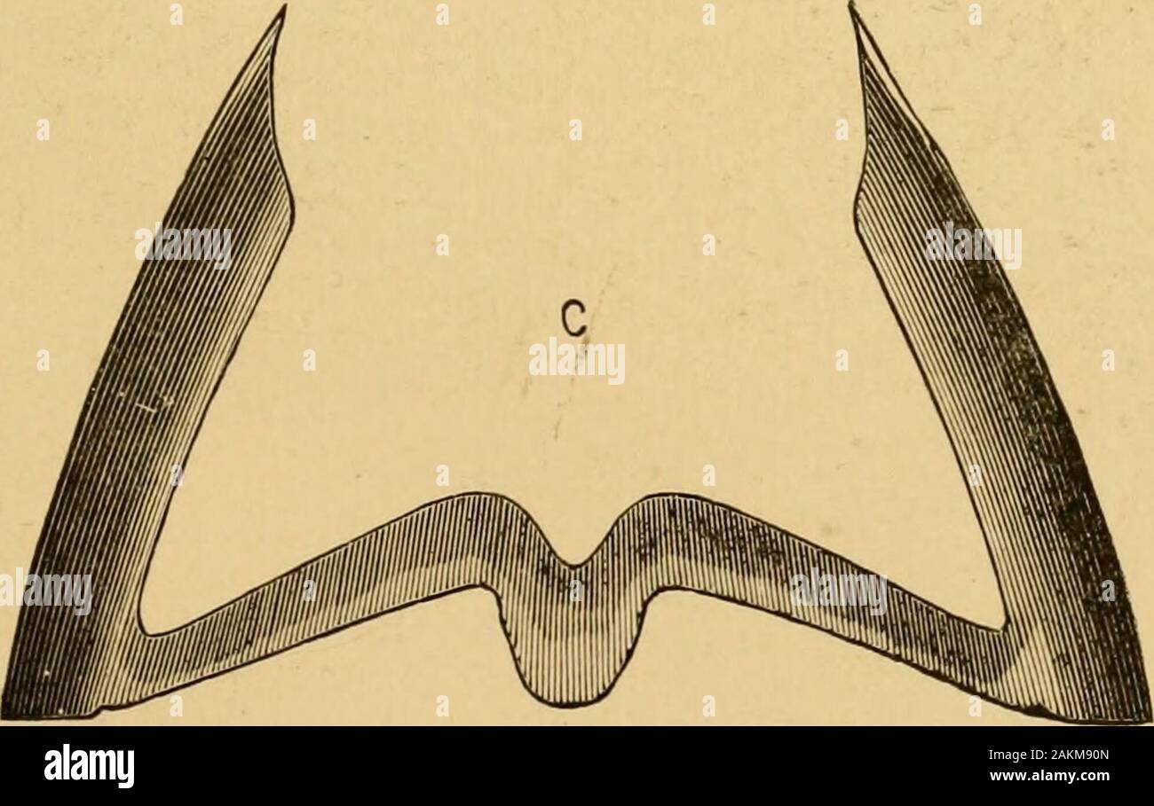 Frog points hi-res stock photography and images - Alamy