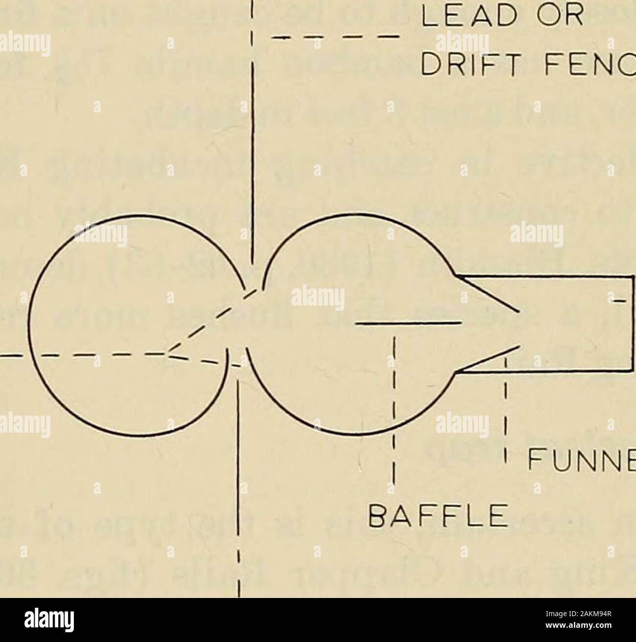 North American fauna . Figure 36.—All-purpose or cloverleaf trap and ...