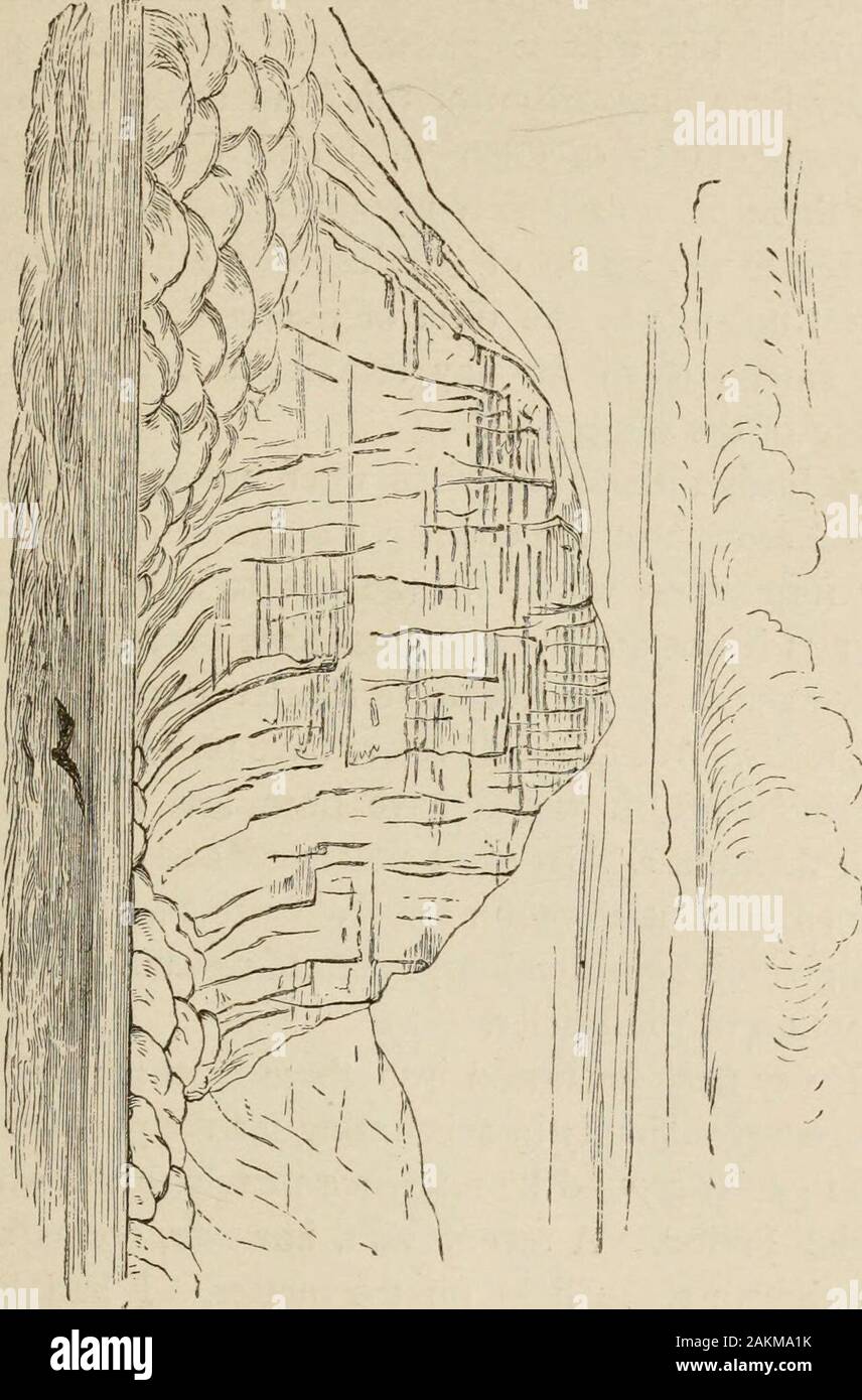 Geological sketches, at home and abroad . ered Britain.That the gneiss ...
