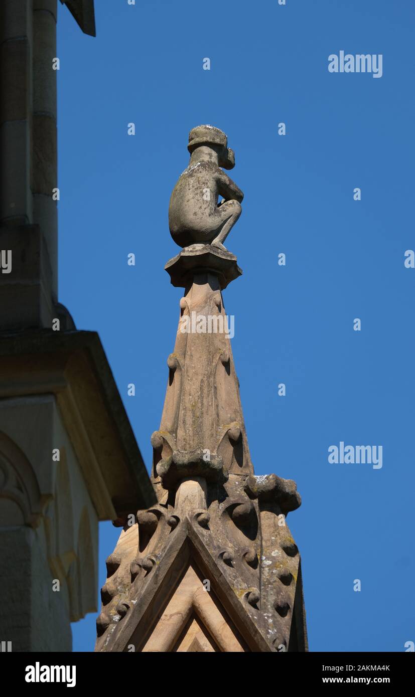 Animal on Pinnacle Stock Photo - Alamy