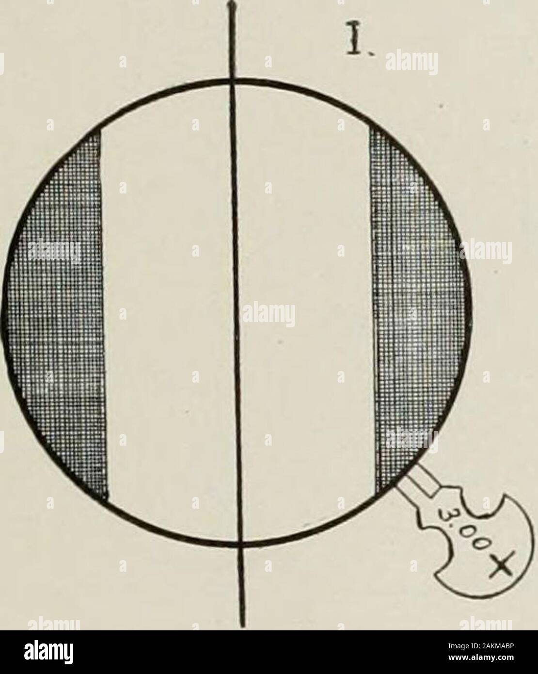 Ocular refraction and the shadow test . If the same experiment be made ...