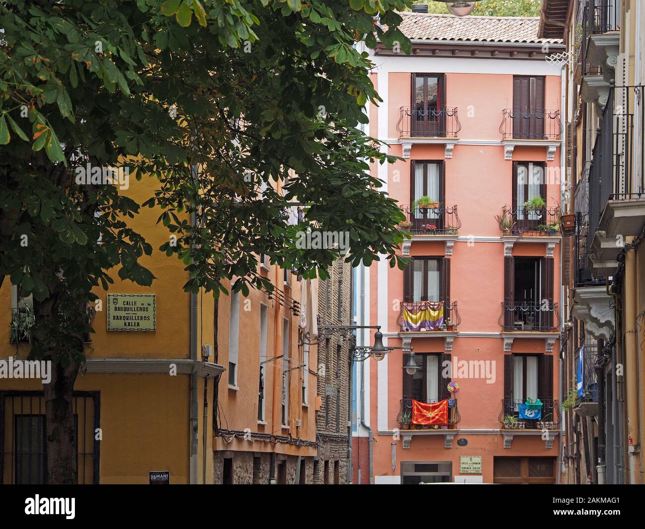 leafy horse-chestnut tree contrasts with coloured façades and balconies ...