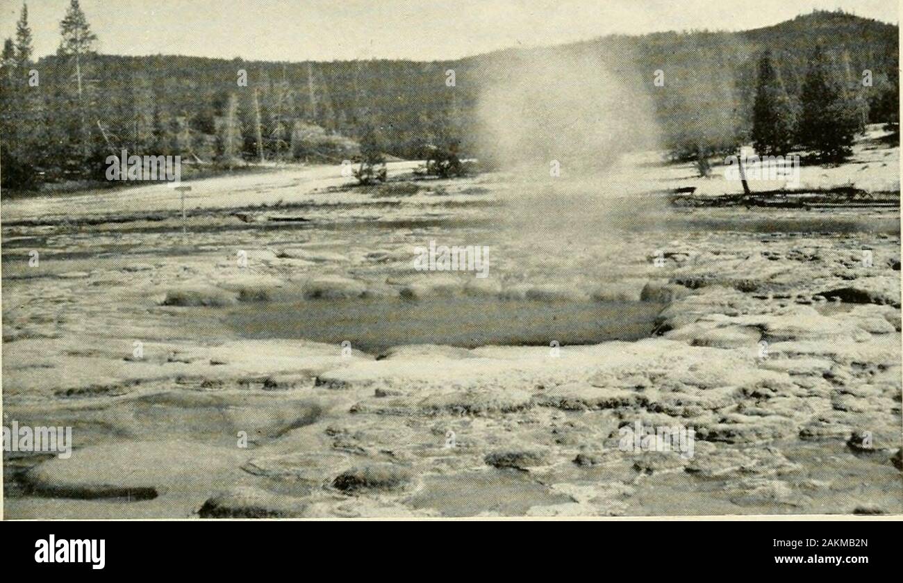 Expeditions organized or participated in by the Smithsonian Institution ...