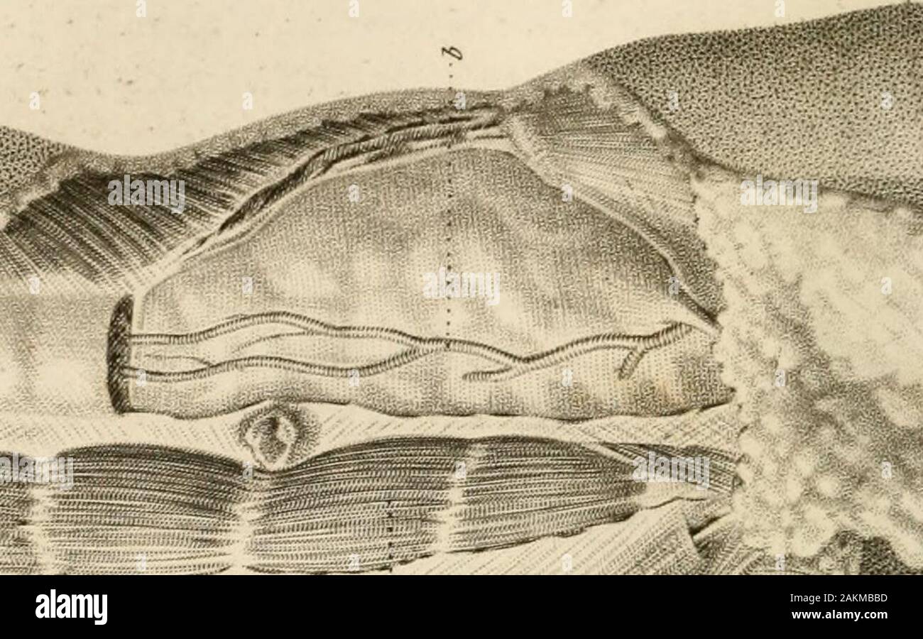 Doigt sur la carte hi-res stock photography and images - Alamy
