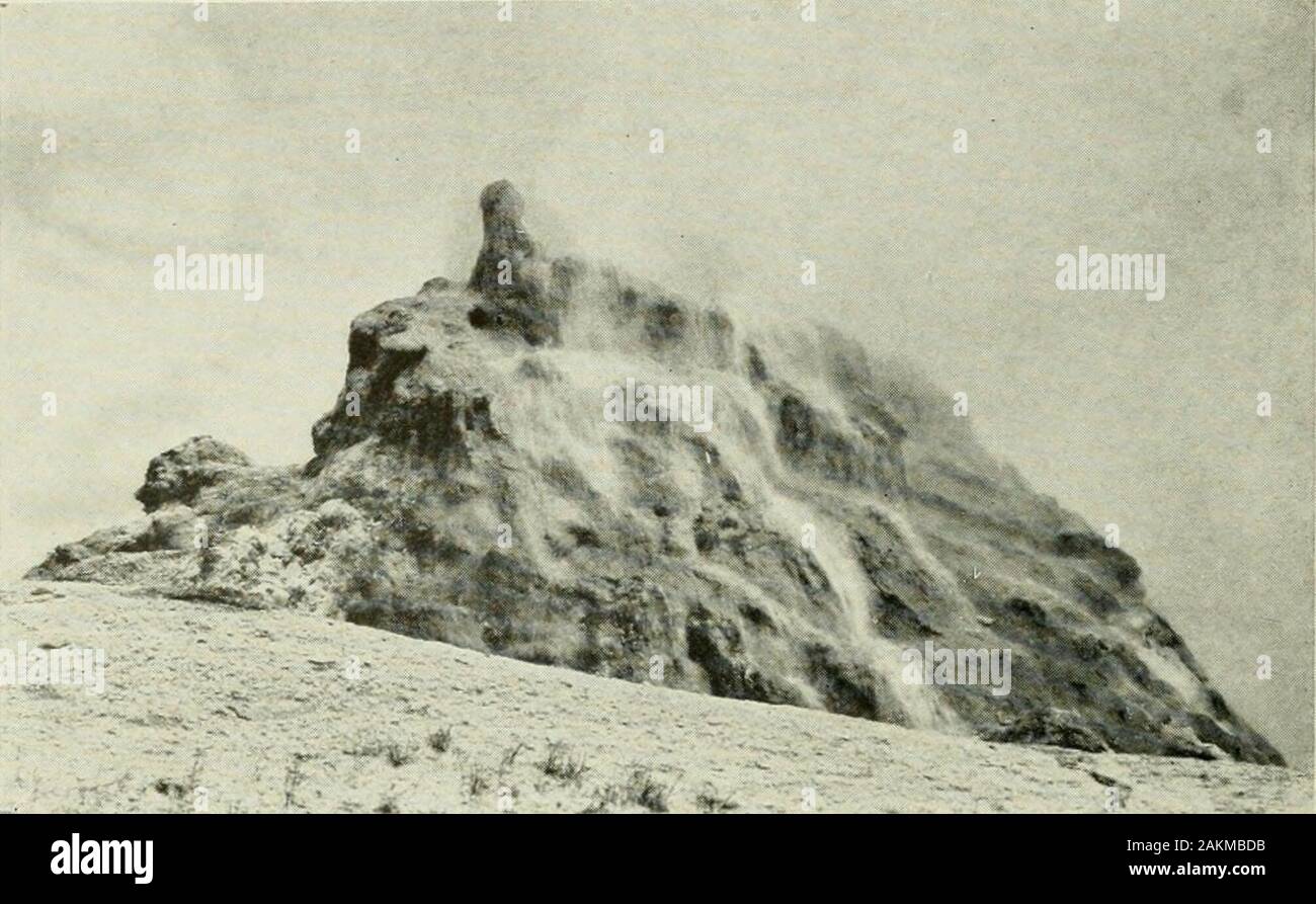 Expeditions organized or participated in by the Smithsonian Institution ...