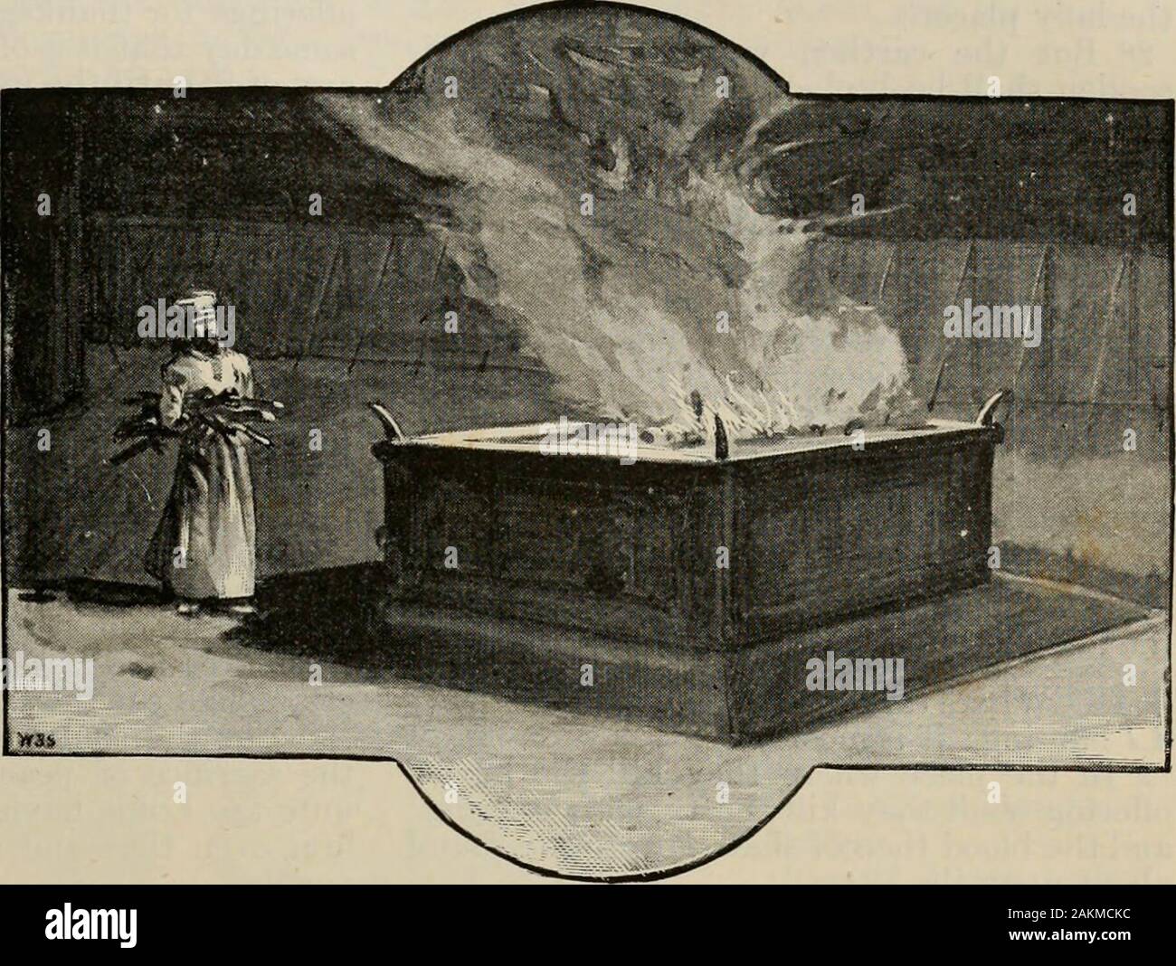 The art Bible, comprising the Old and new Testaments : with numerous ...