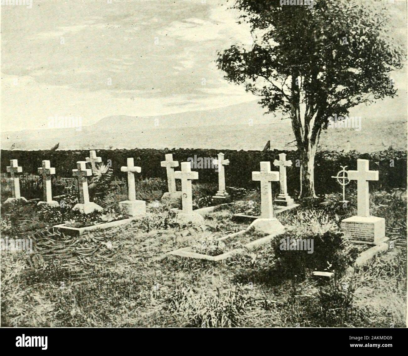 Transvaal railway hi-res stock photography and images - Alamy