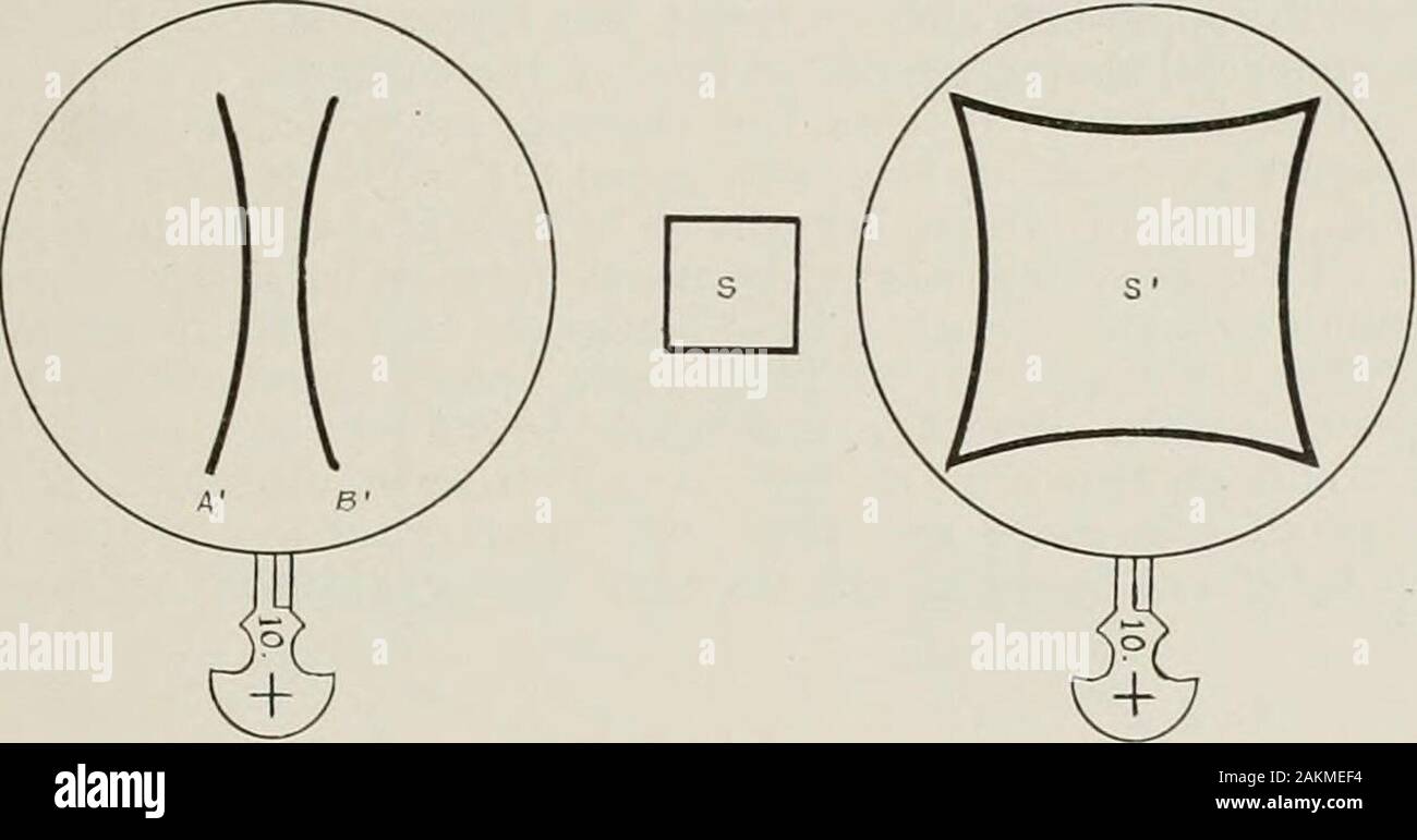 All Forms Of S Shadow