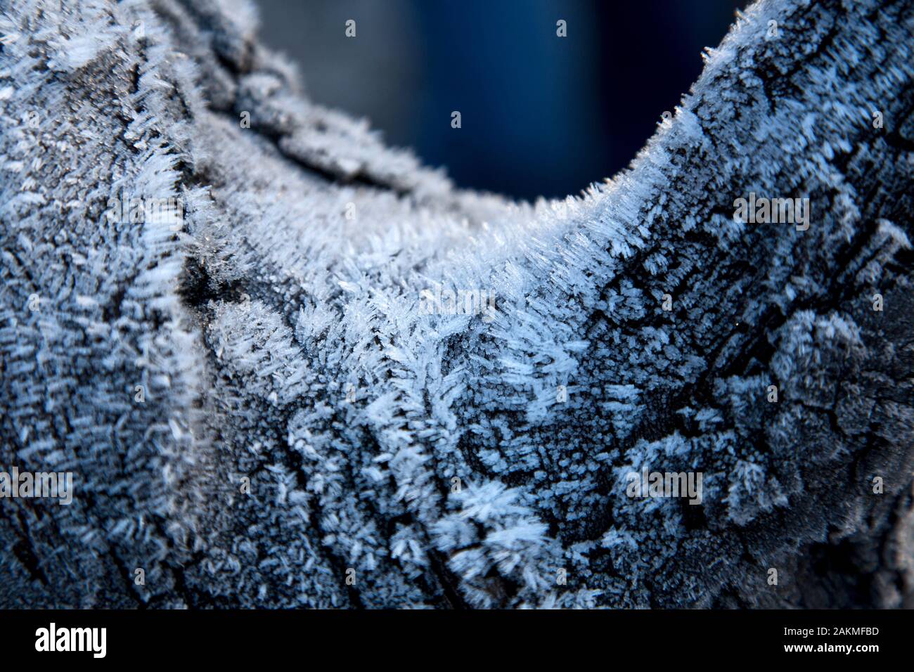 Ansel adams trees hi-res stock photography and images - Alamy