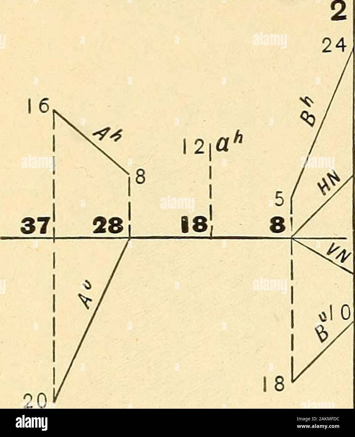 Generatrix hi-res stock photography and images - Alamy