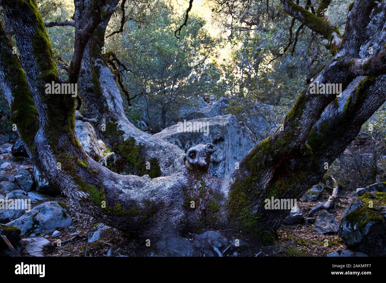 Creepy park hi-res stock photography and images - Alamy