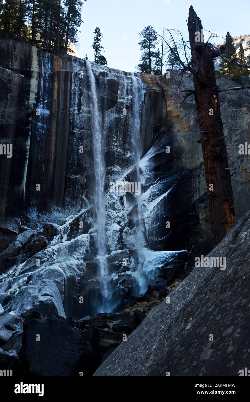 Ansel Adams Tree Yosemite High Resolution Stock Photography and Images ...