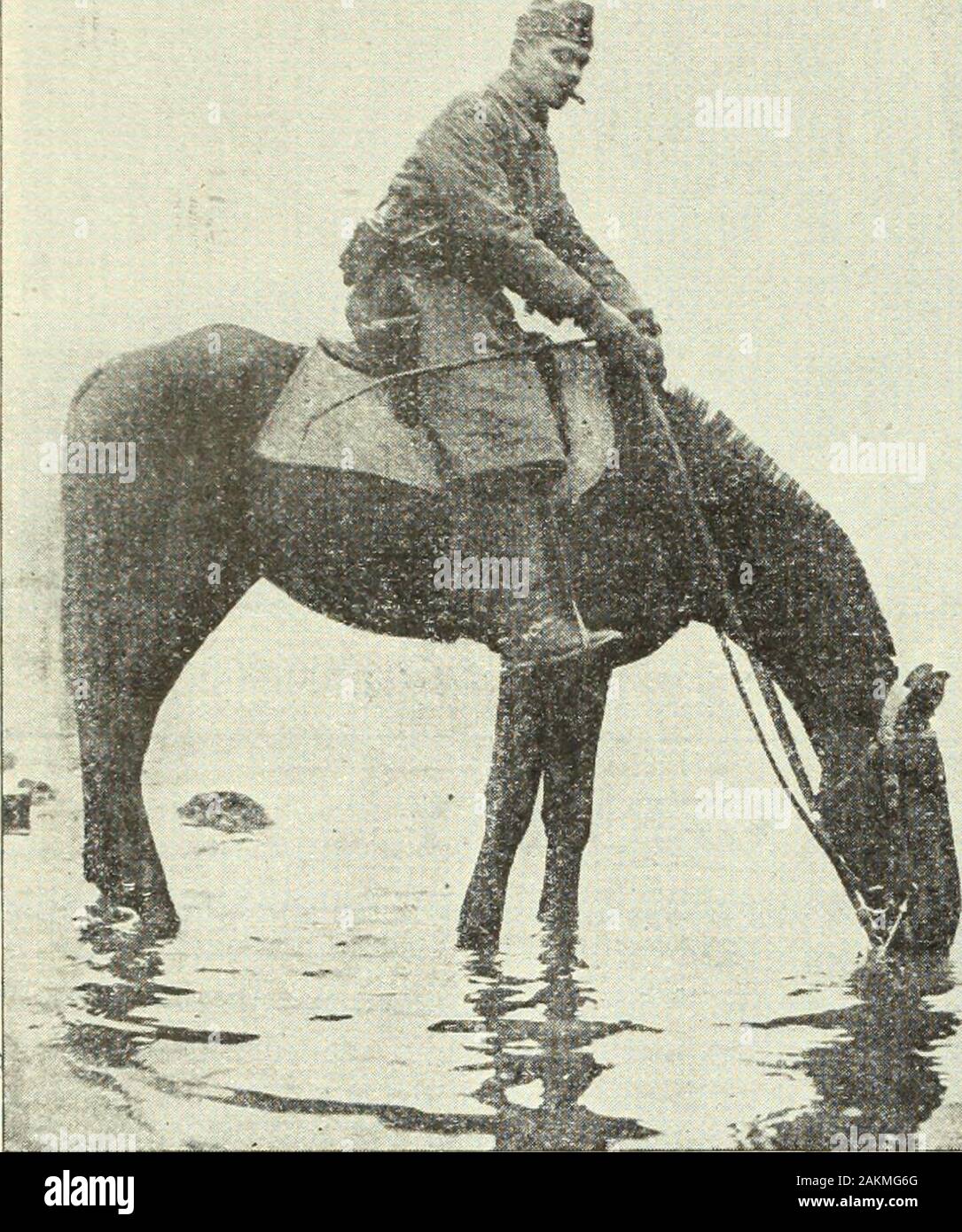 Forming prussia hi-res stock photography and images - Alamy