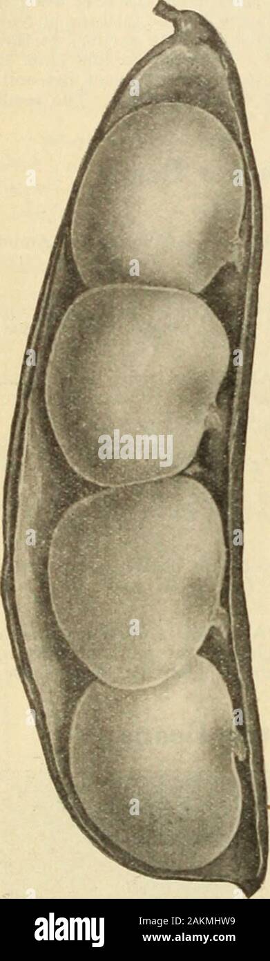 Navy pods hi-res stock photography and images - Alamy