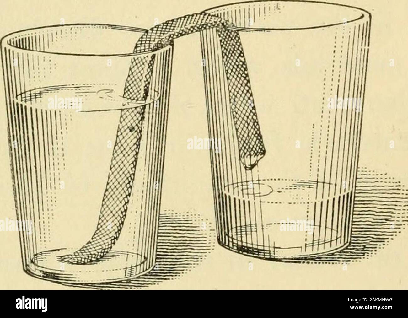 An introduction to agriculture . Rises in the Soil.-— When the water ...