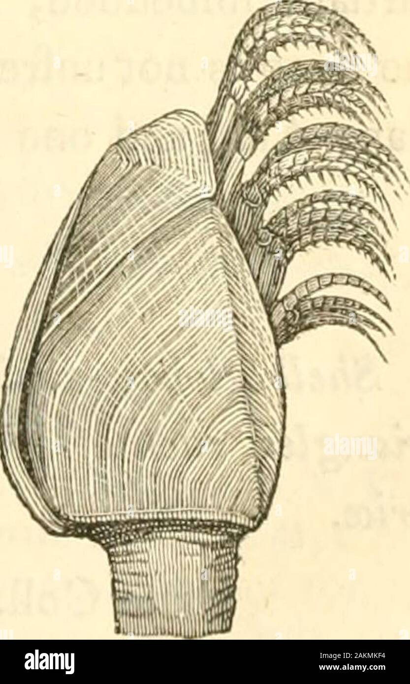 Coilup hi-res stock photography and images - Alamy