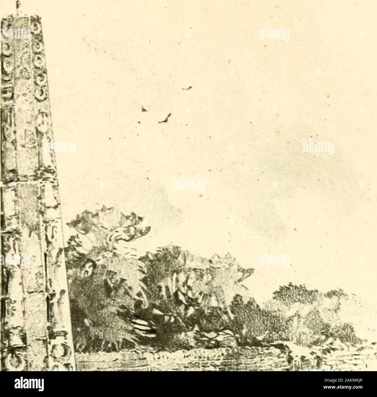 A history of the house of Percy : from the earliest times down to the ...