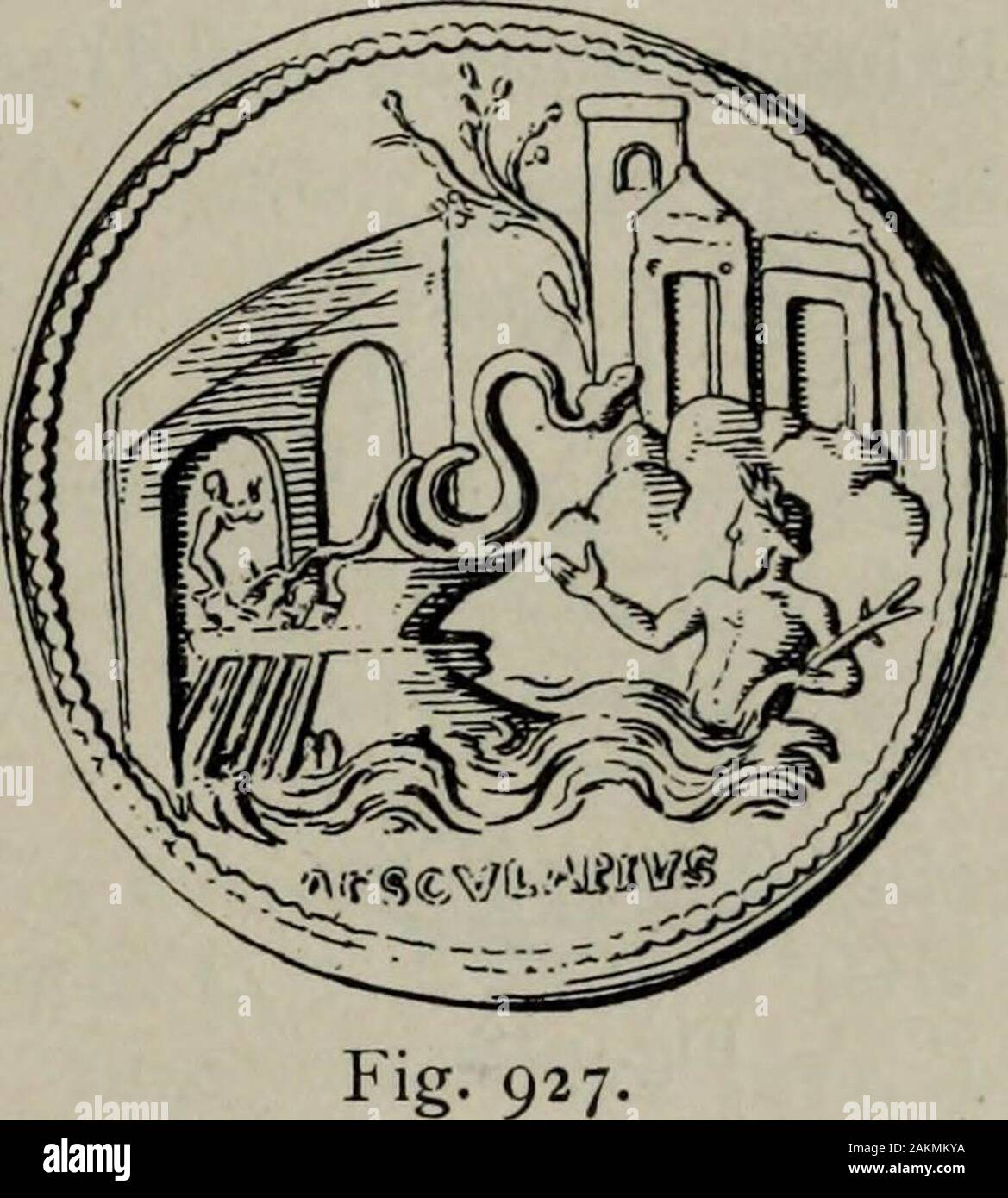 Zeus : a study in ancient religion . a gooses^%g containing a young ...