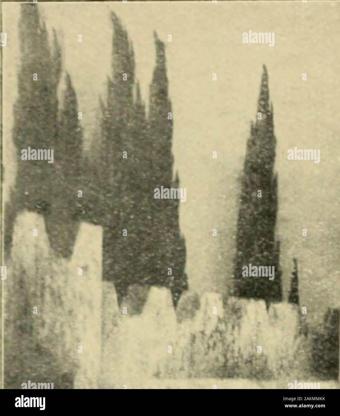 Pieli hi-res stock photography and images - Alamy