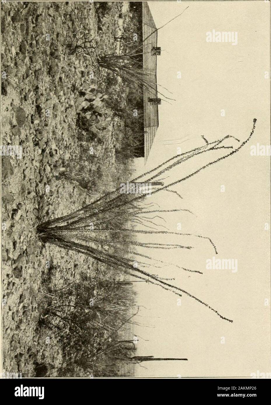 Moist rule hi-res stock photography and images - Alamy