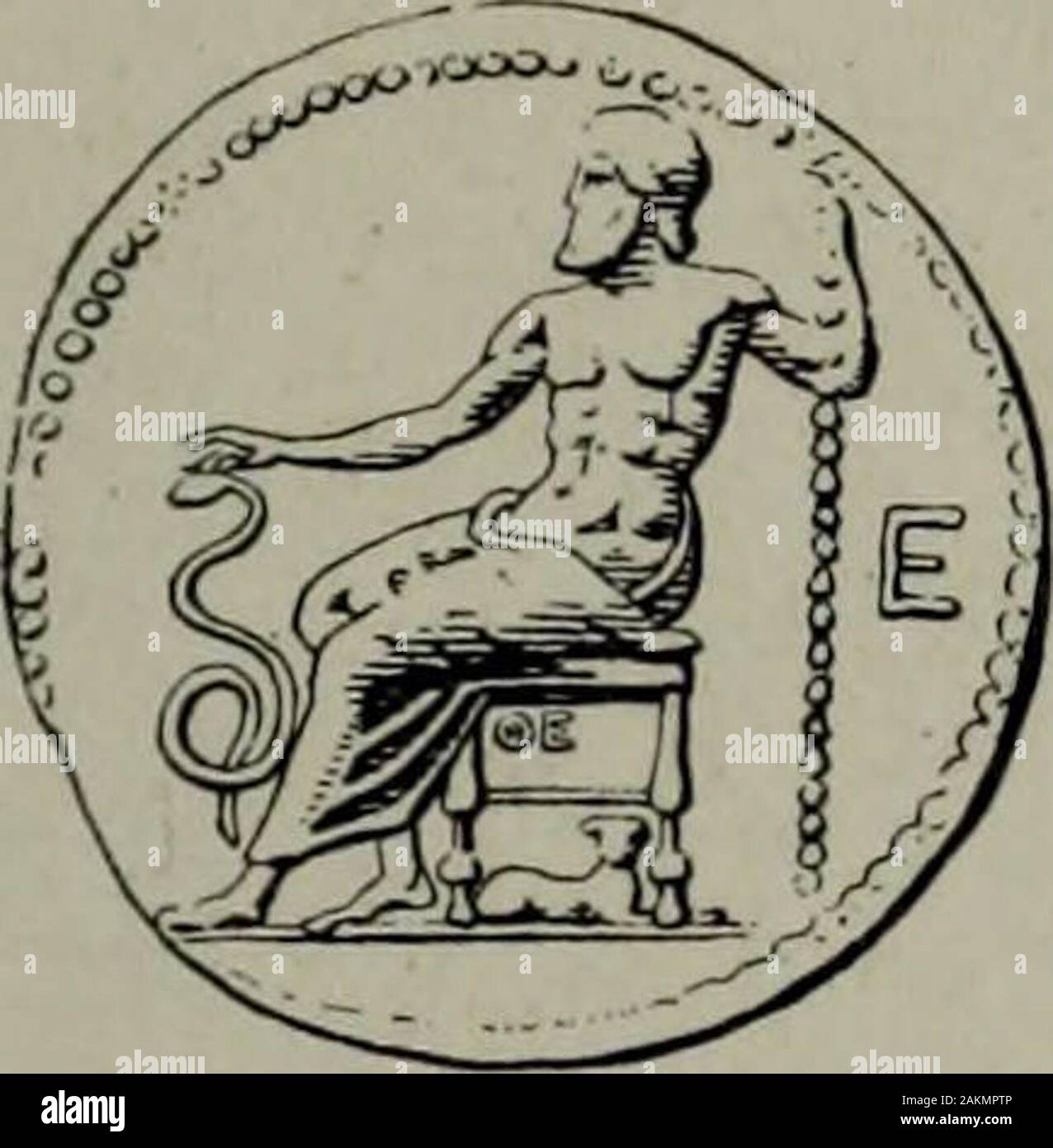 Copper Head Snake High Resolution Stock Photography and Images - Alamy