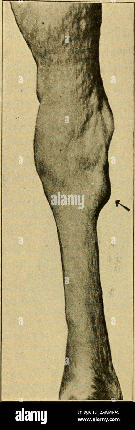 43 foot high hi-res stock photography and images - Alamy