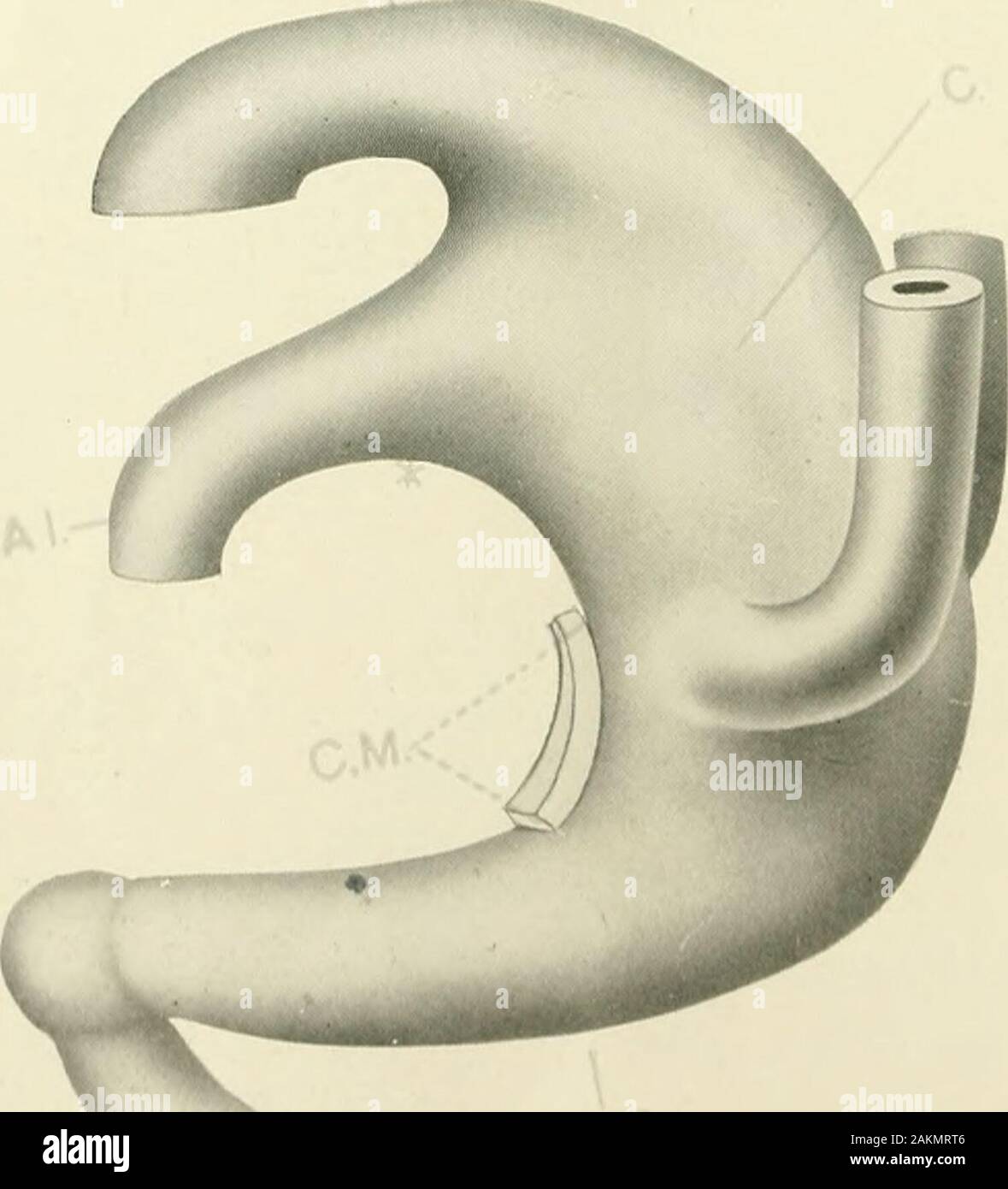 Pohlman hi-res stock photography and images - Alamy