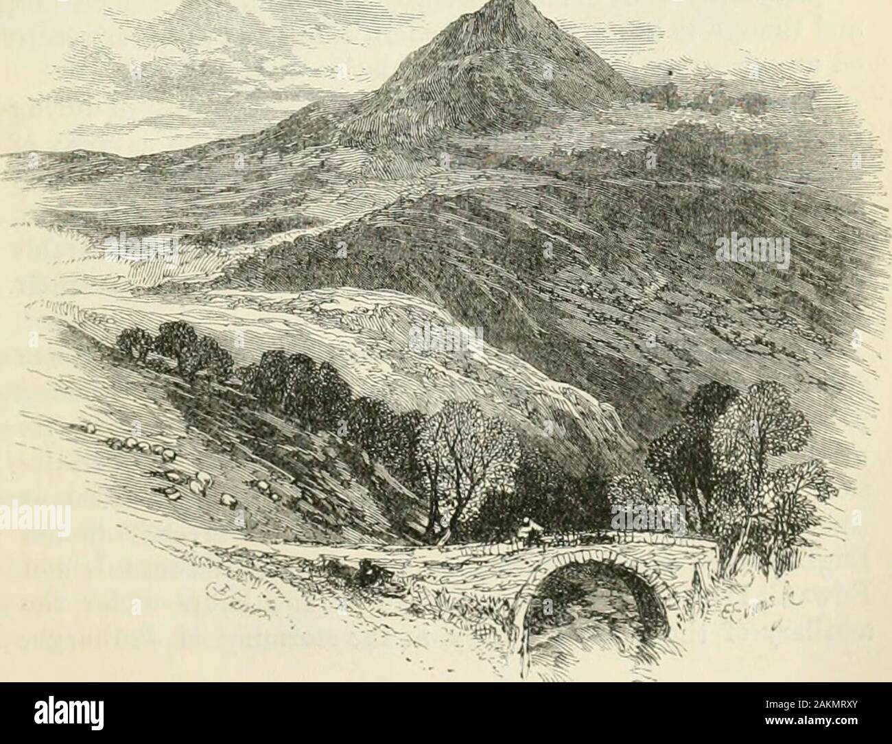 Crailing hi-res stock photography and images - Alamy