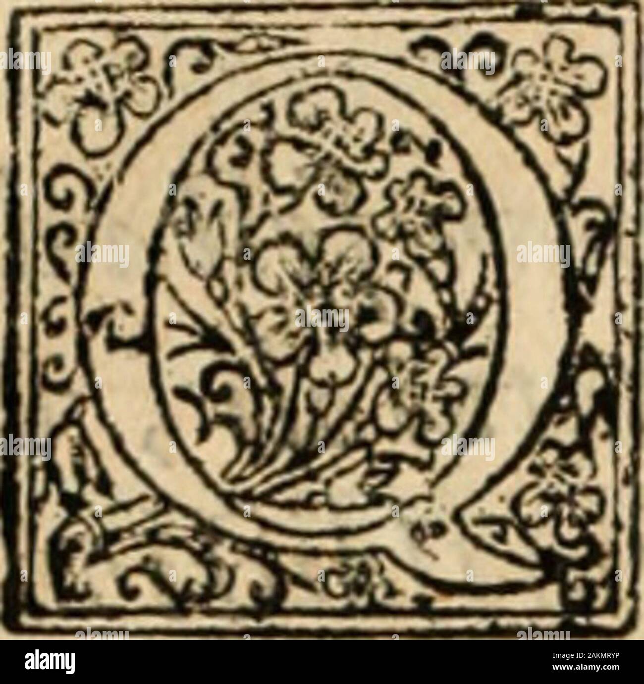 Violentia hi-res stock photography and images - Alamy