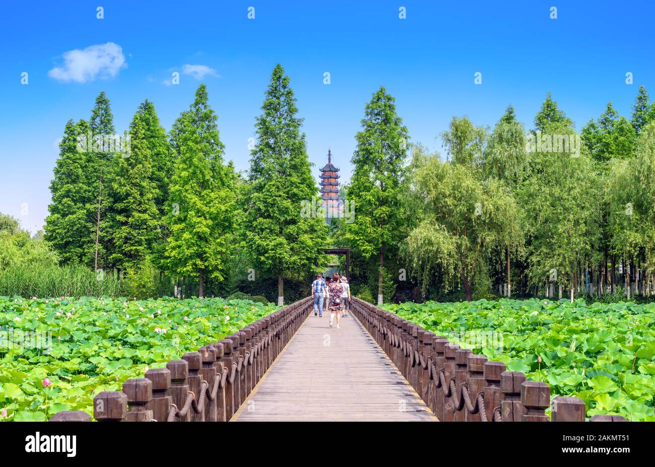 Tourists walk across the wooden bridge to the pagoda, Jinshan Temple in ...