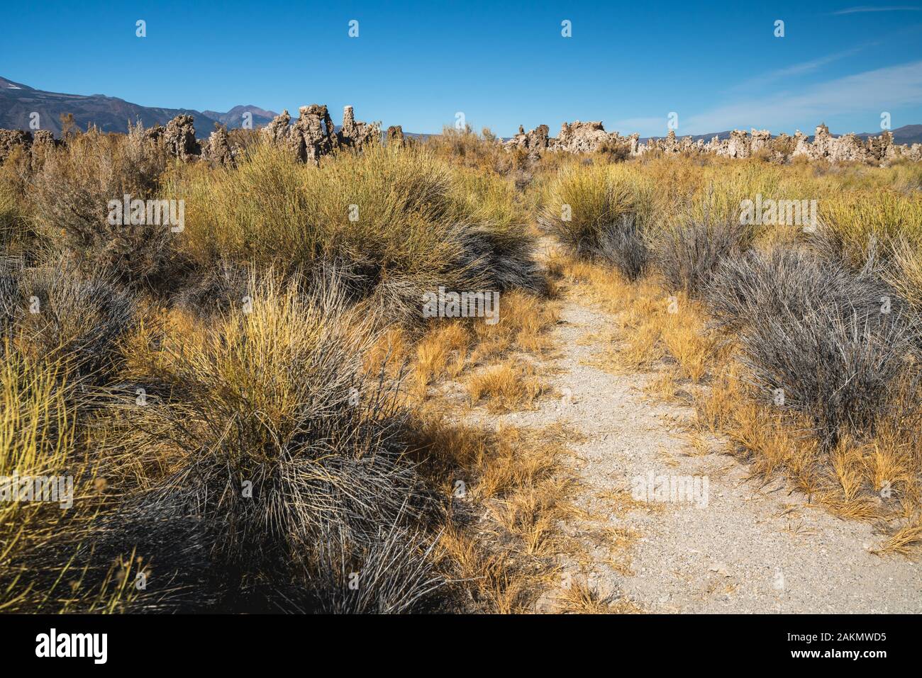 Rock salt colors hi-res stock photography and images - Alamy