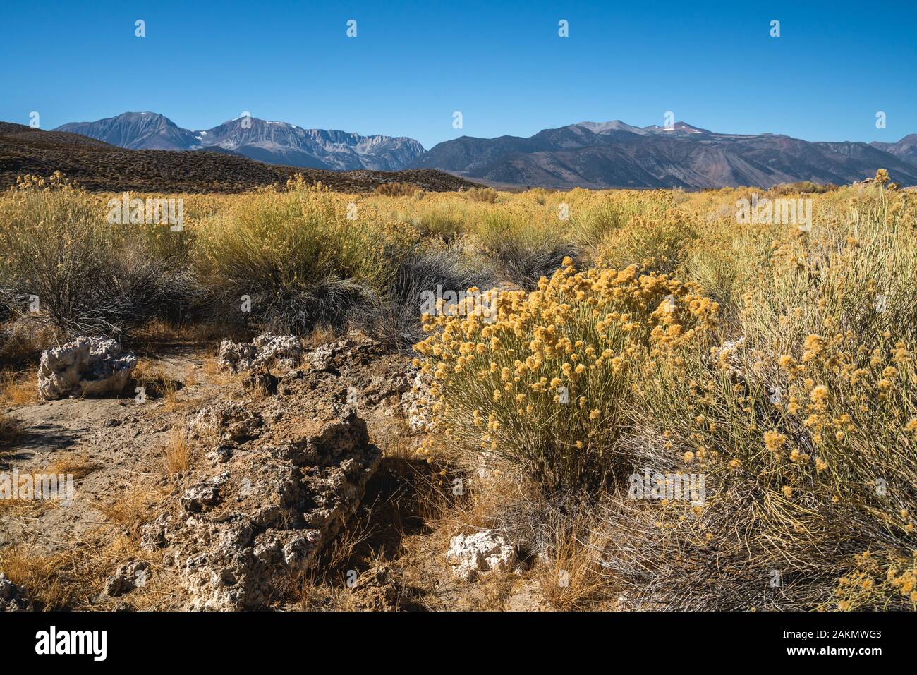 Rock salt colors hi-res stock photography and images - Alamy