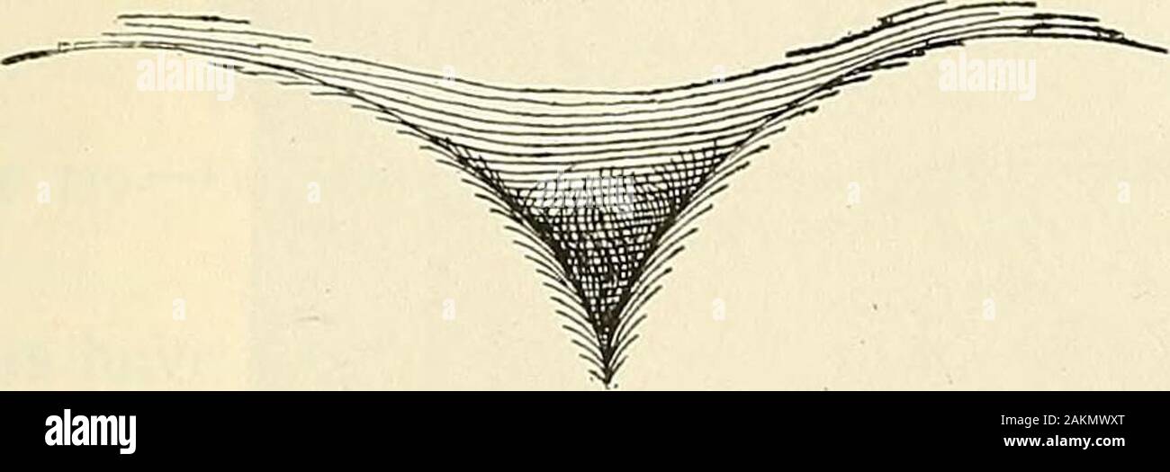 Modern surgery, general and operative Stock Photo - Alamy